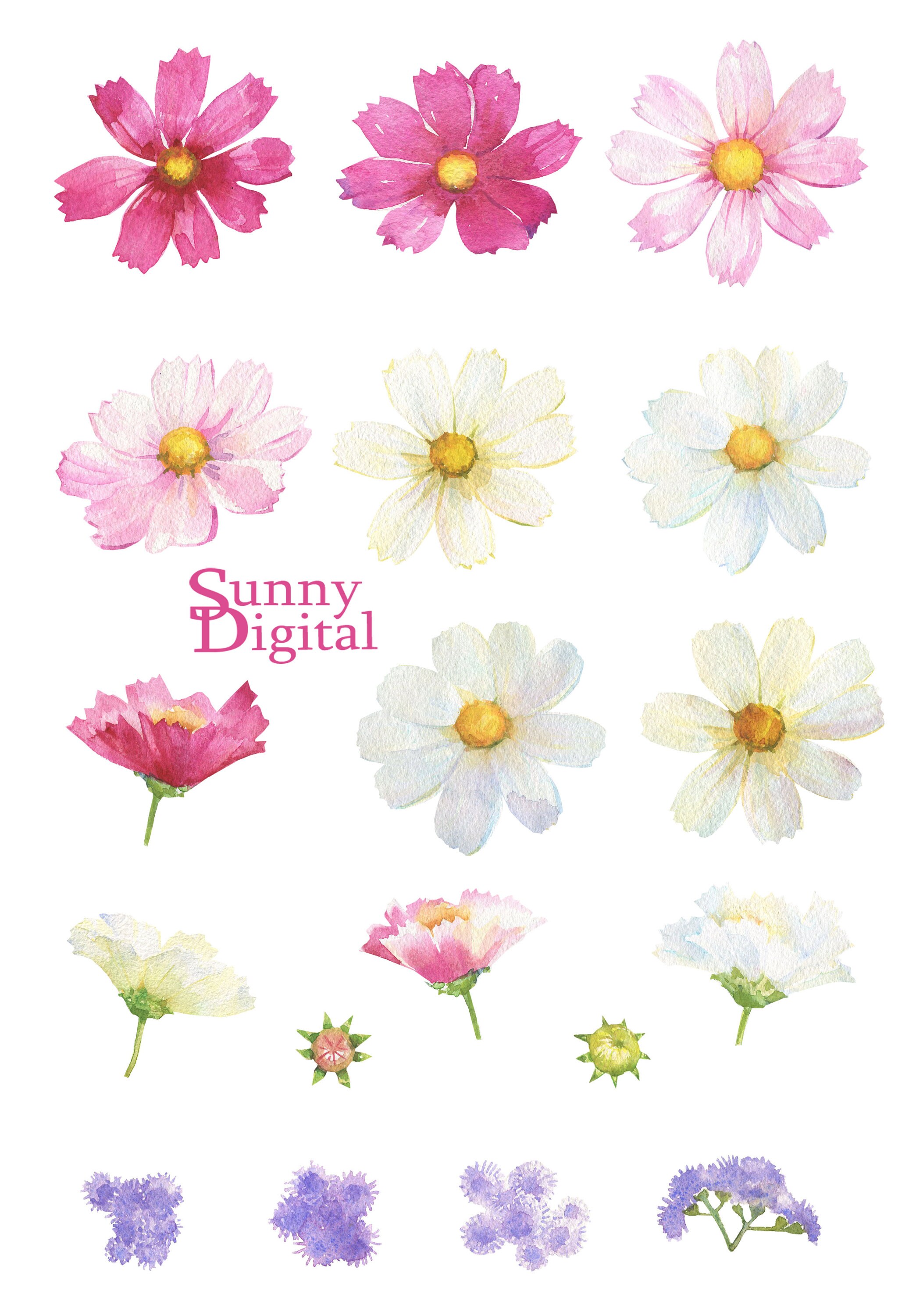 Daisy Summer Clipart Handpainted Watercolor Floral Element Printable ...