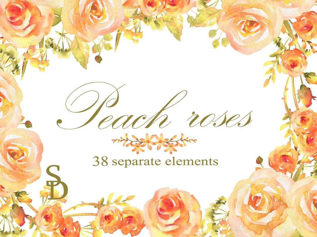 Peach Rose Clipart Floral Watercolor Handpainted Brunch Fall Wedding ...