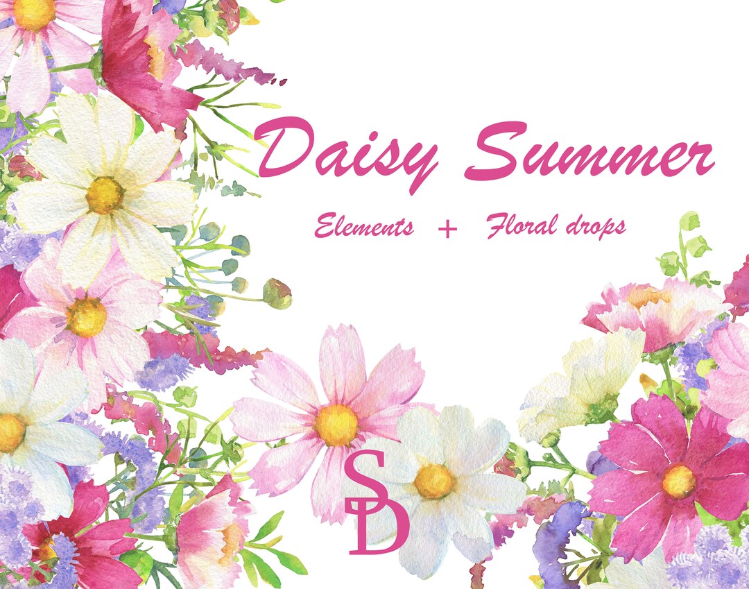 Daisy Summer Clipart Handpainted Watercolor Floral Element Printable ...