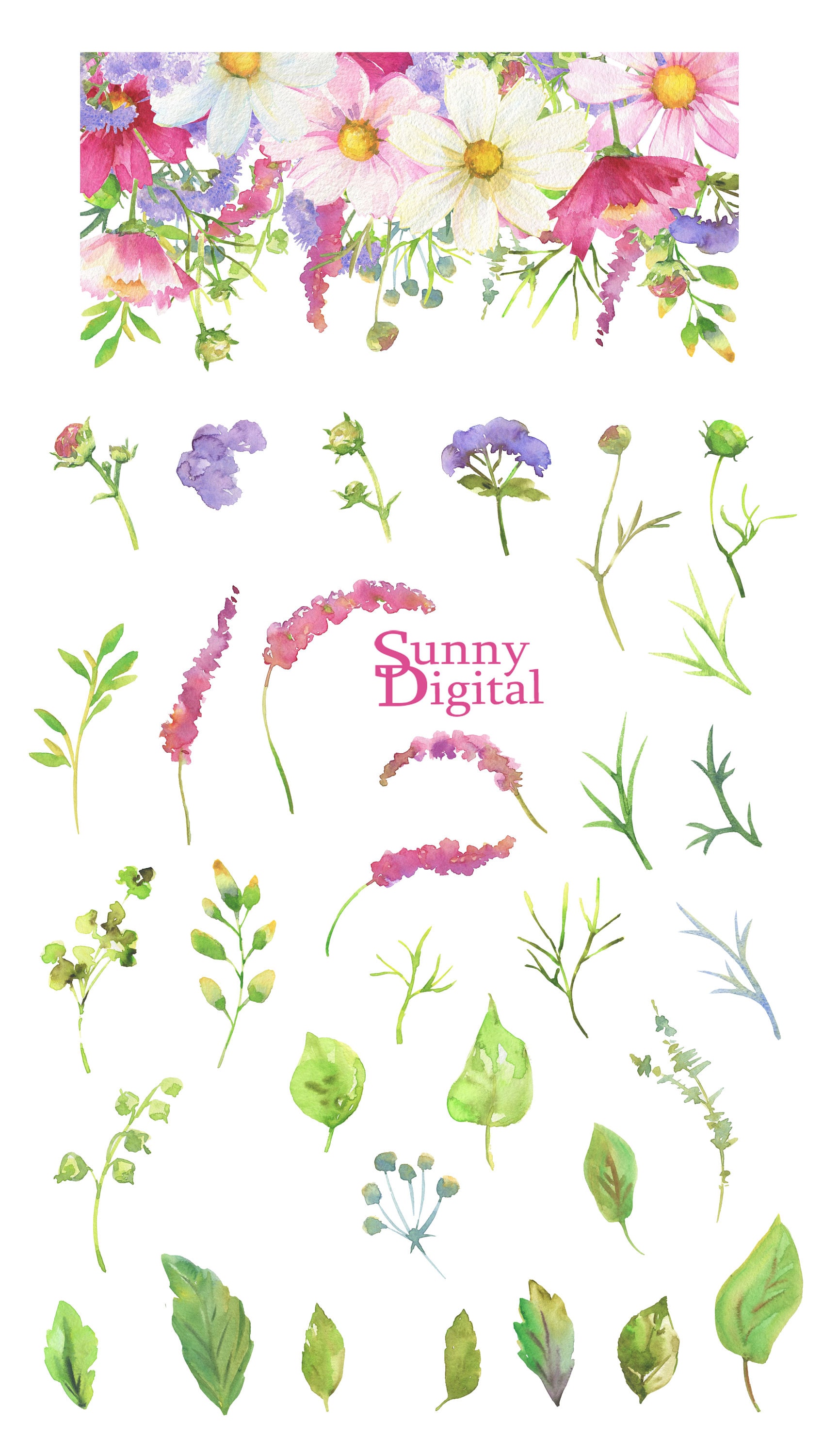 Daisy Summer Clipart Handpainted Watercolor Floral Element Printable ...
