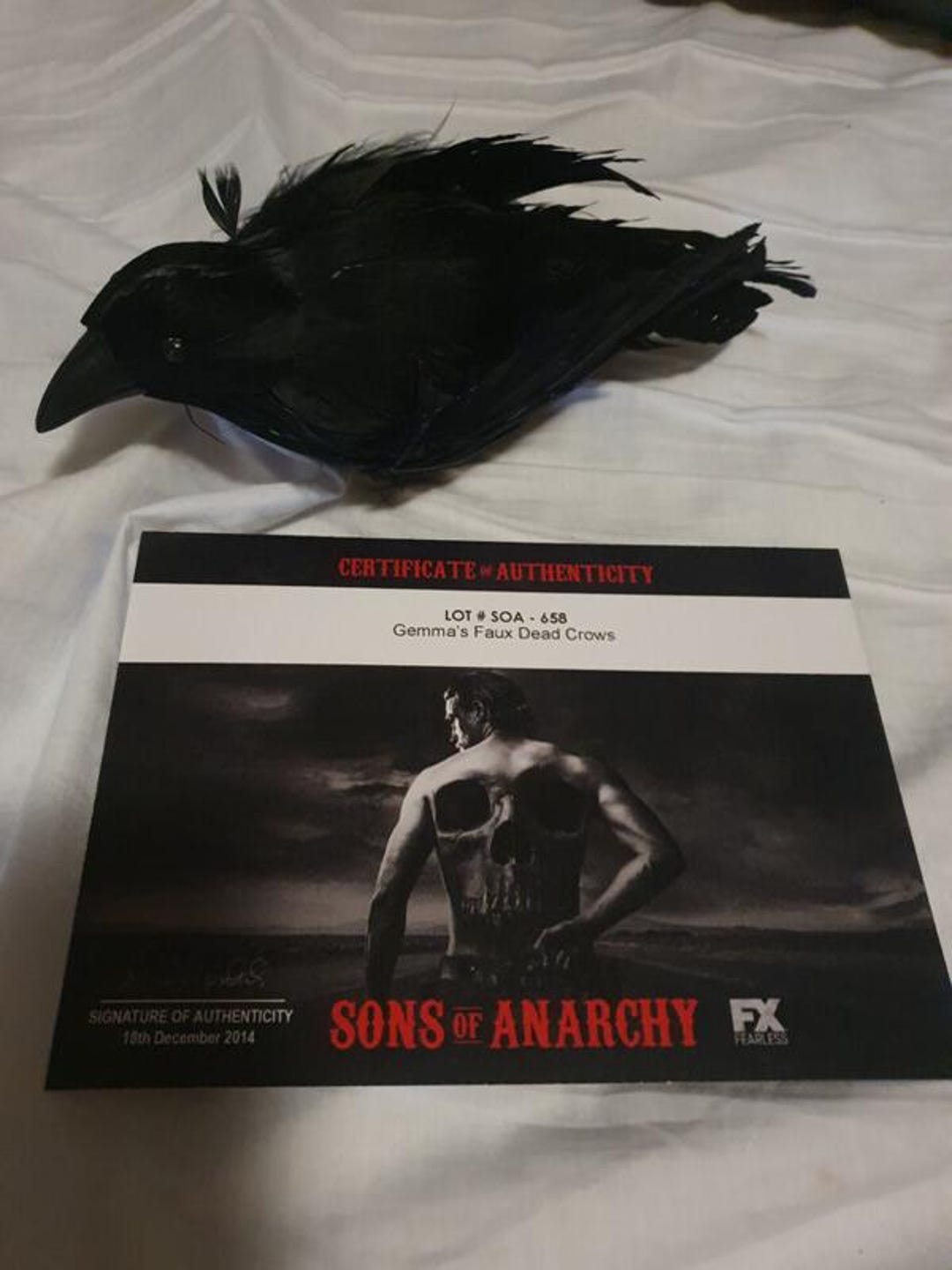Sons of Anarchy Original Screen Used Gemma Dead Crow Movie Prop - Etsy