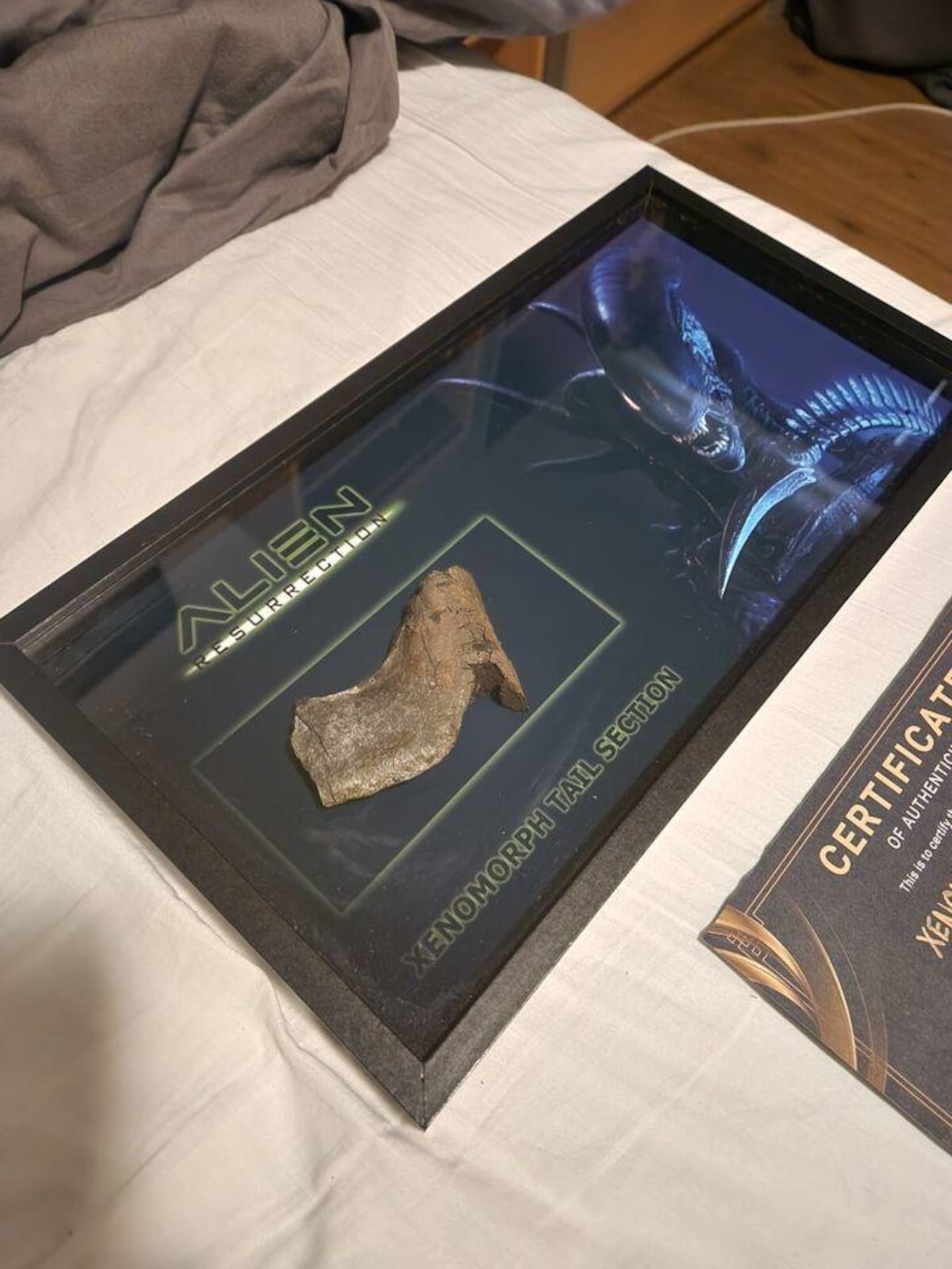 Alien Resurrection Original Screen Used Xenomorph Tail Section Piece ...