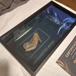 Alien Resurrection Original Screen Used Xenomorph Tail Section Piece ...