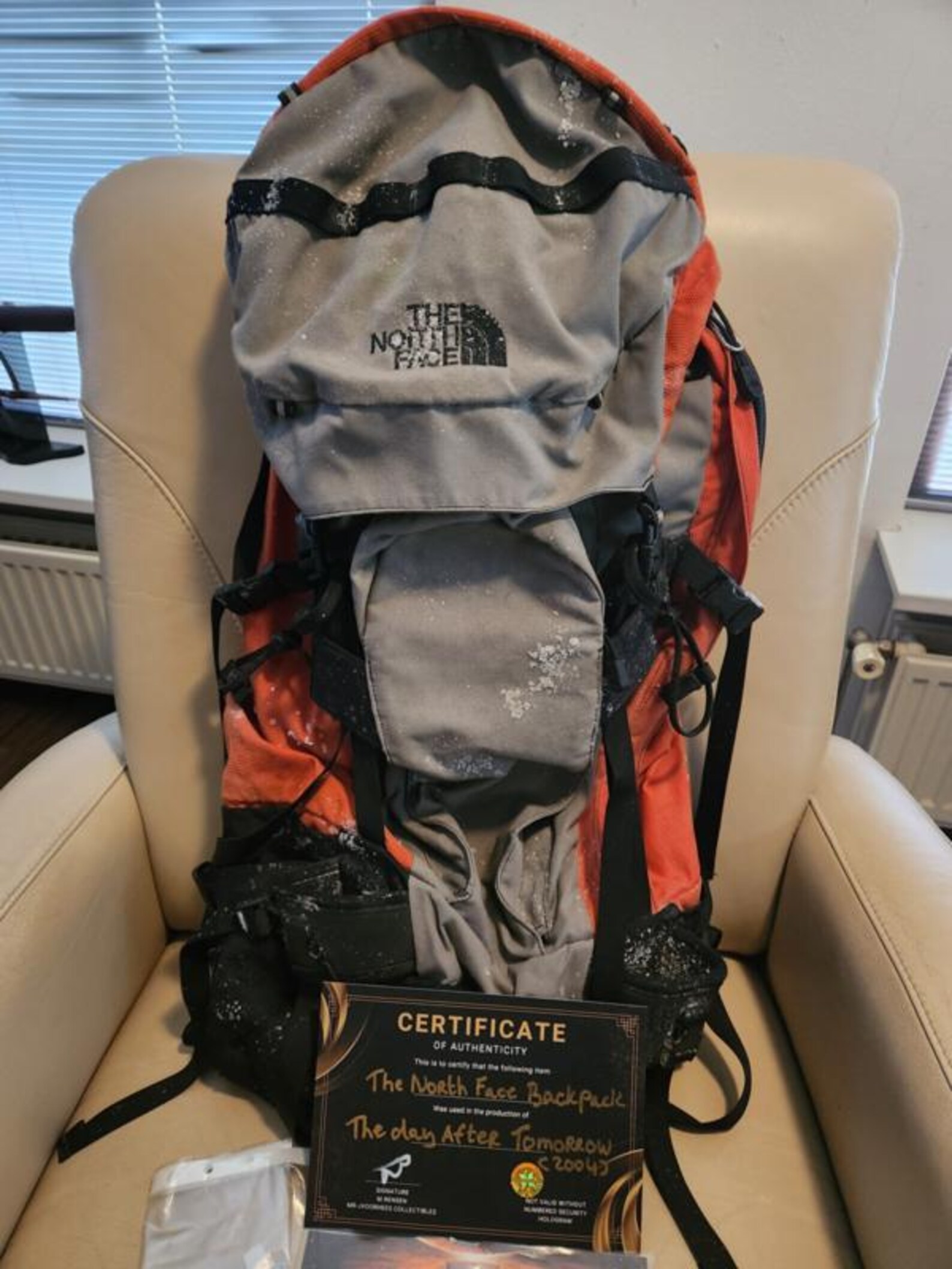 The Day After Tomorrow 2004 Original Screen Used North Face Backpack ...