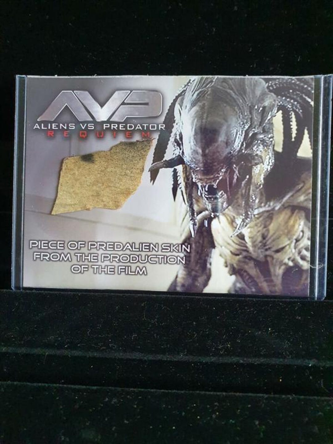 AVP Alien Vs Predator Original Screen Used Piece Predalien Prop - Etsy