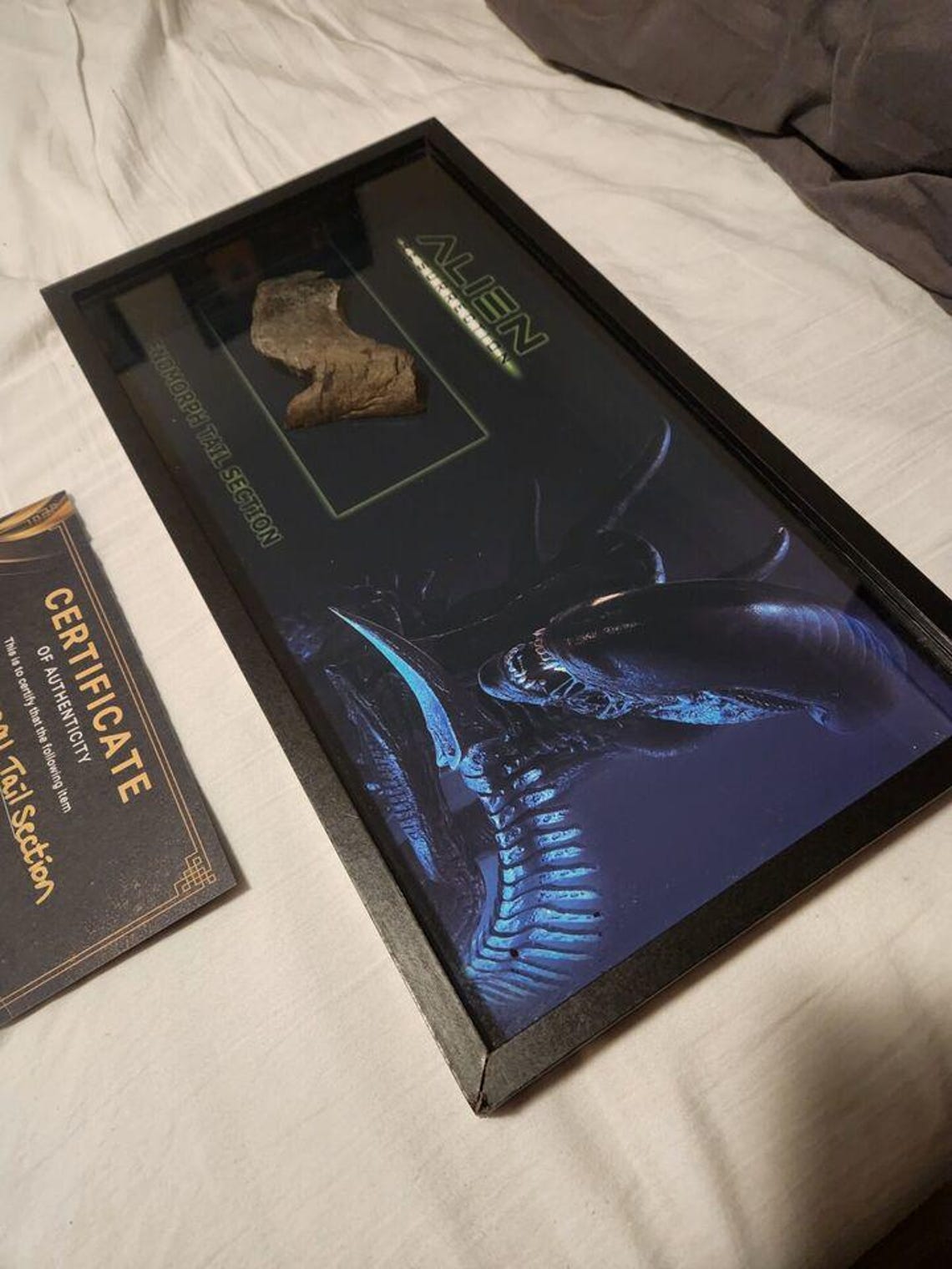 Alien Resurrection Original Screen Used Xenomorph Tail Section Piece ...