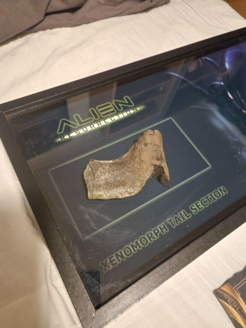 Alien Resurrection Original Screen Used Xenomorph Tail Section Piece ...