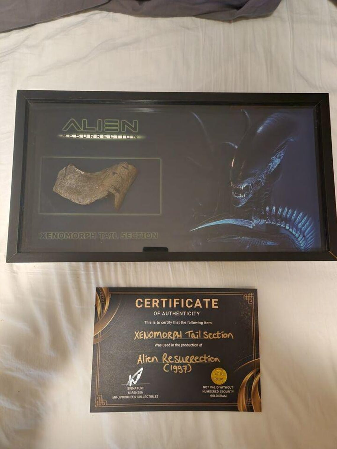 Alien Resurrection Original Screen Used Xenomorph Tail Section Piece ...