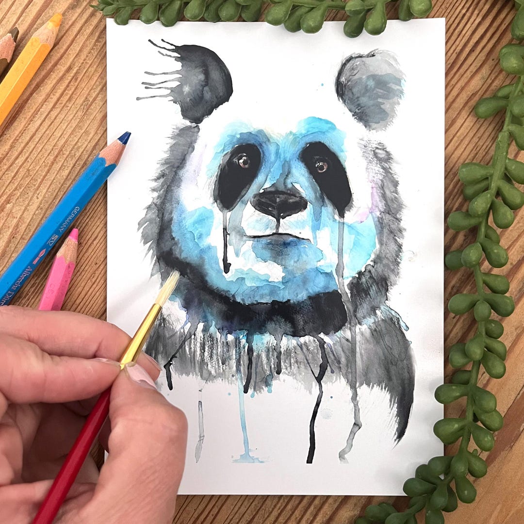 Panda Eyes Watercolour – Adorable Art Print for Nature Lovers - Etsy