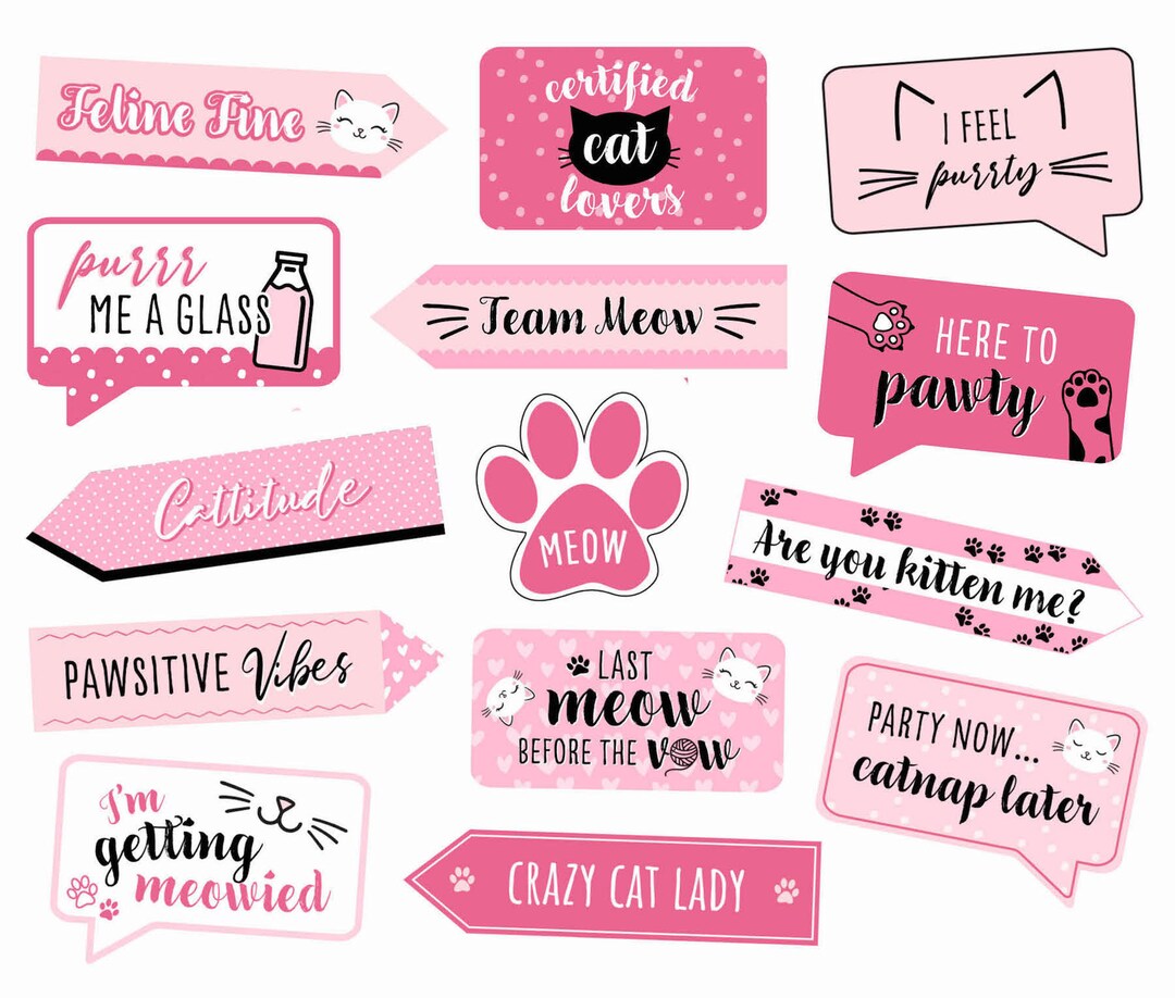 Cat Last Meow Bachelorette Party Photo Booth Props Cat Bridal Shower ...
