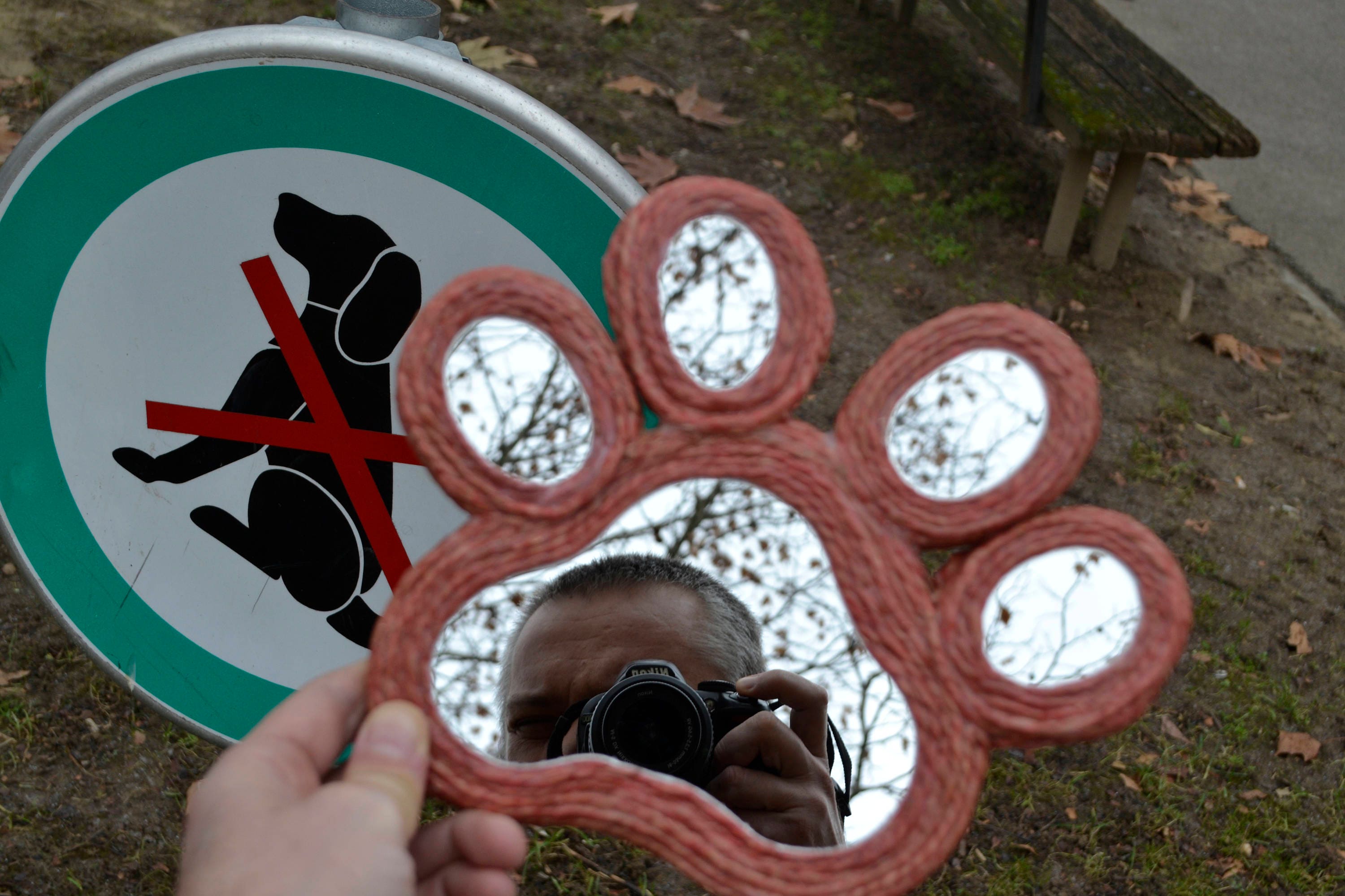 Hemp Rope CAT PAW, Decorative Wall Mirror Cat's Paw Shaped, Mirror for ...