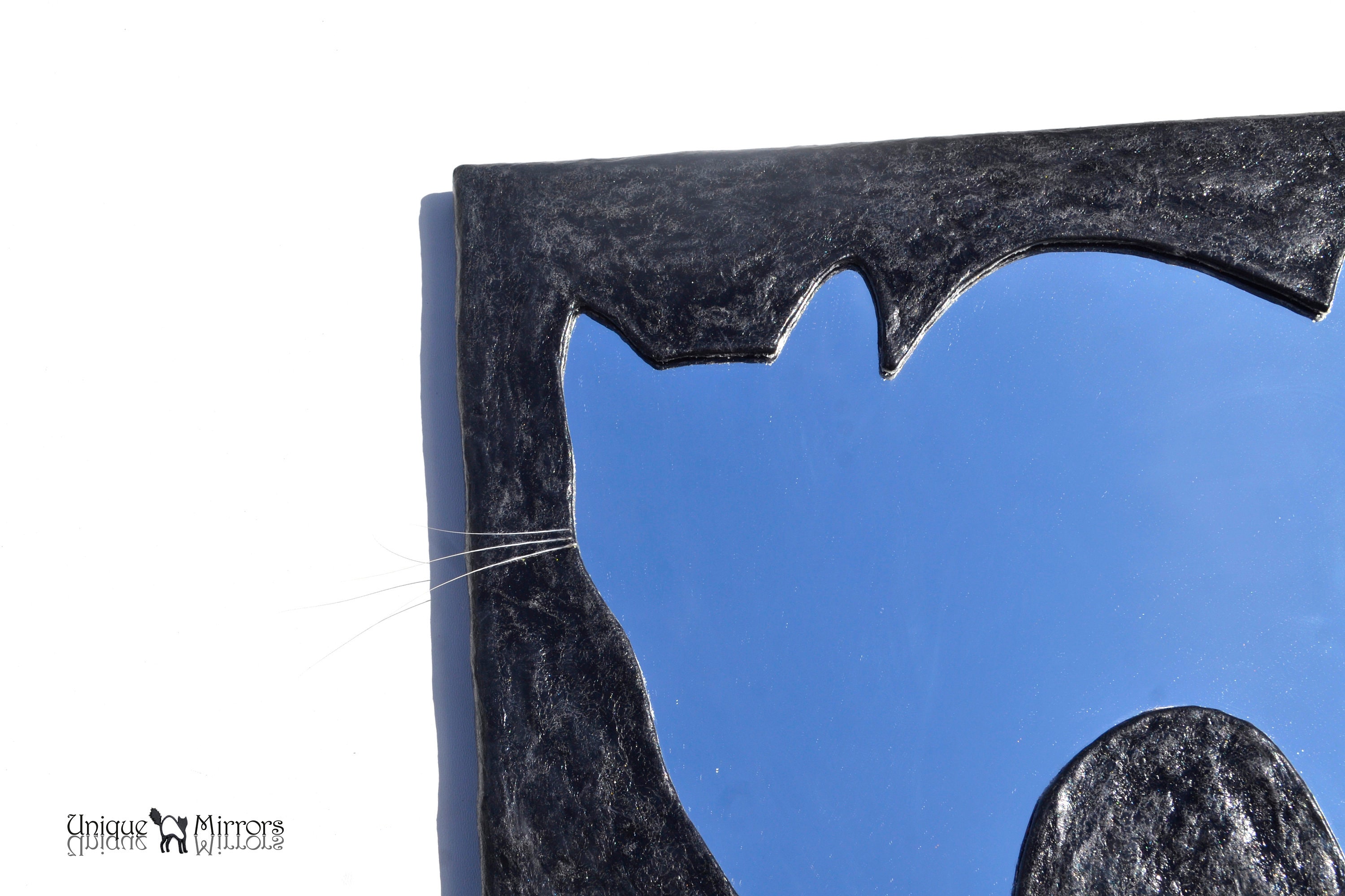 Curiosities and Oddities BLACK CAT MIRROR With 3 Real Cat Whiskers ...