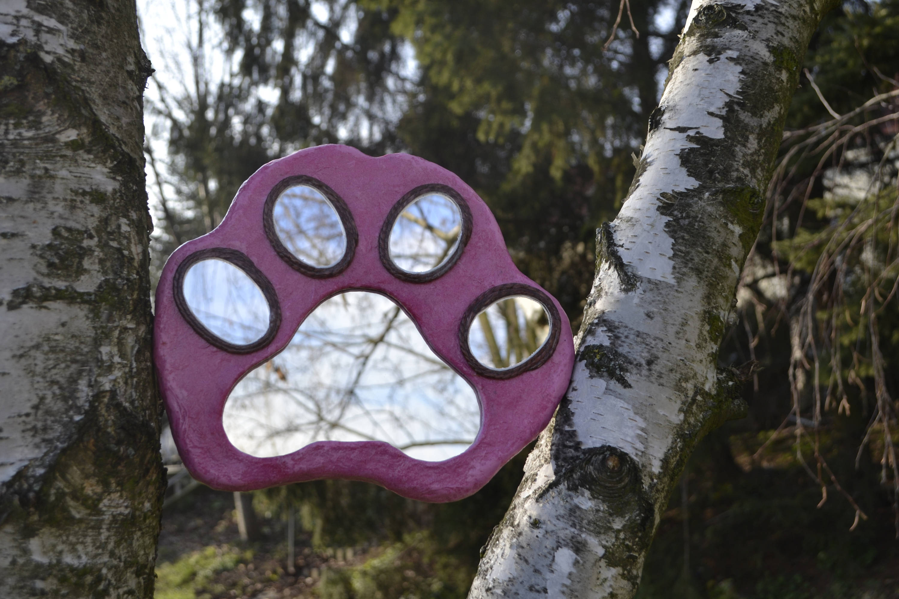 5 MIRRORS CAT PAW Decorative Wall Mirror Cat's Paw - Etsy