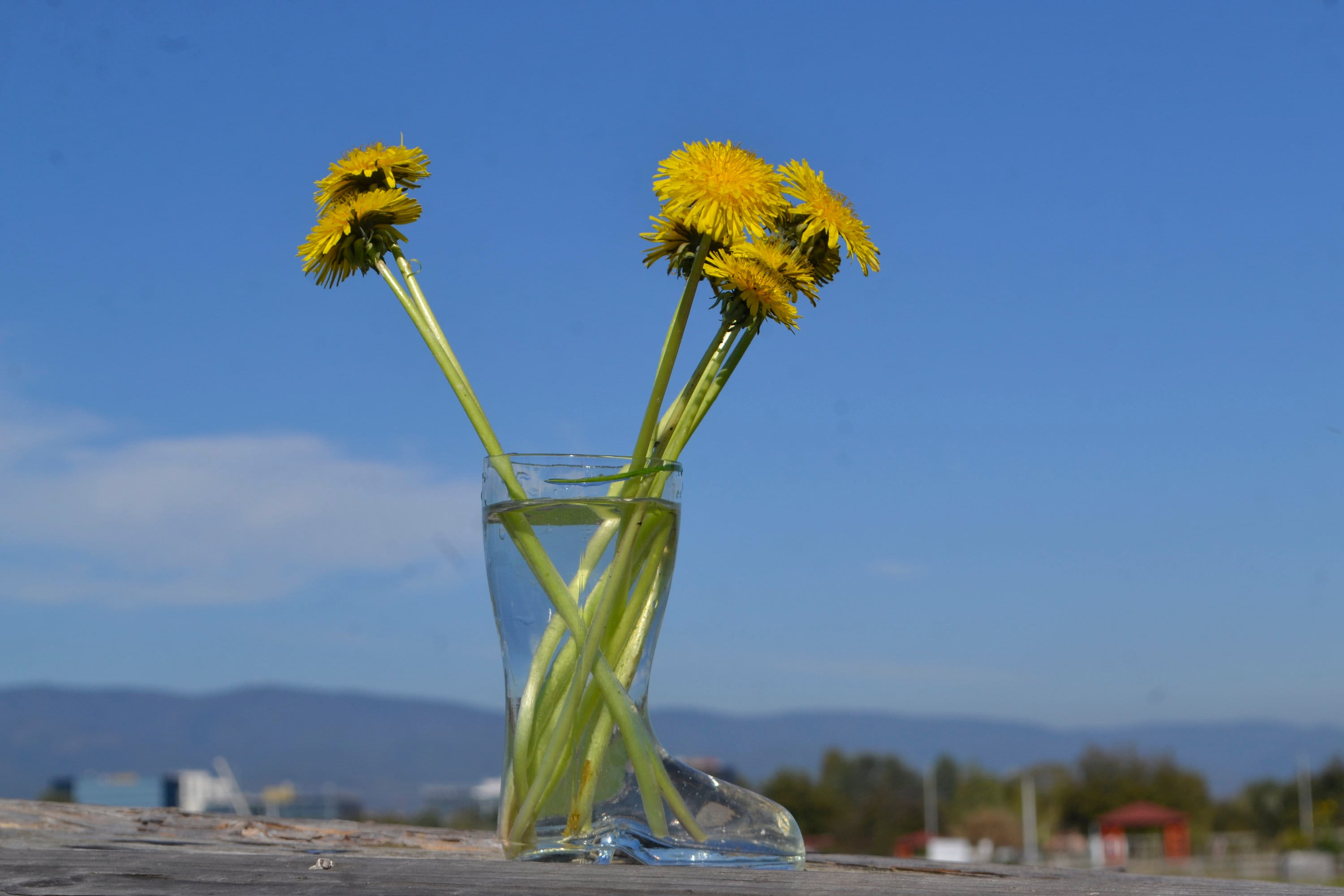 GLASS BOOT VASE, Vintage Glass Vase, Boot Shaped Vase, 2,5 Dl Vase ...