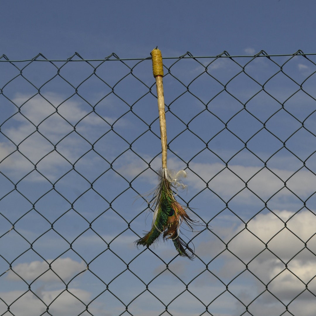 PEACOCK FEATHER Tickler, Peacock Feathers Sexy Toy, Unique Erotic Toy, Soft Sex Toy, BDSM ...