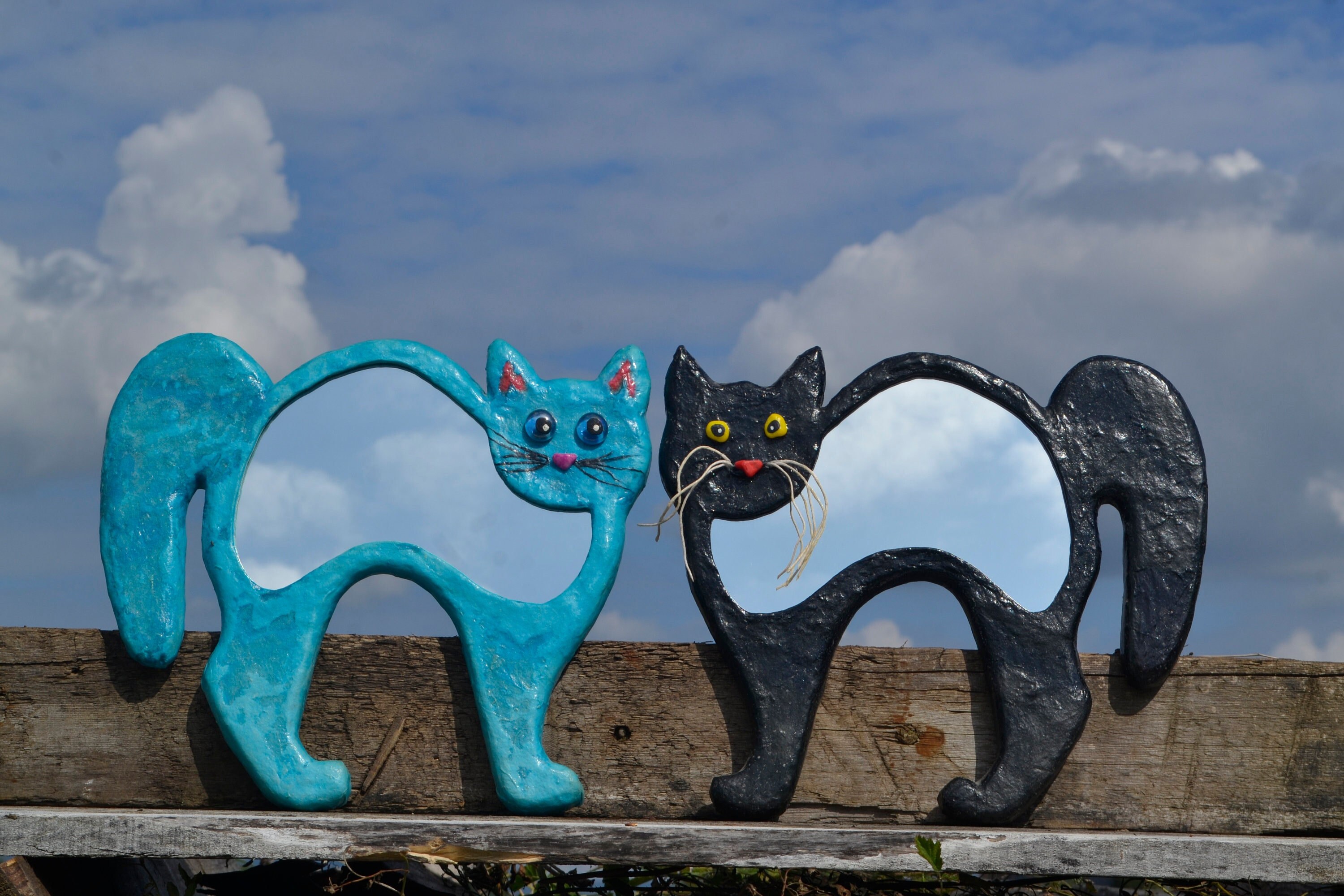 BLACK & BLUE CAT Mirrors, Decorative Wall Mirrors, Black Cat Mirror ...