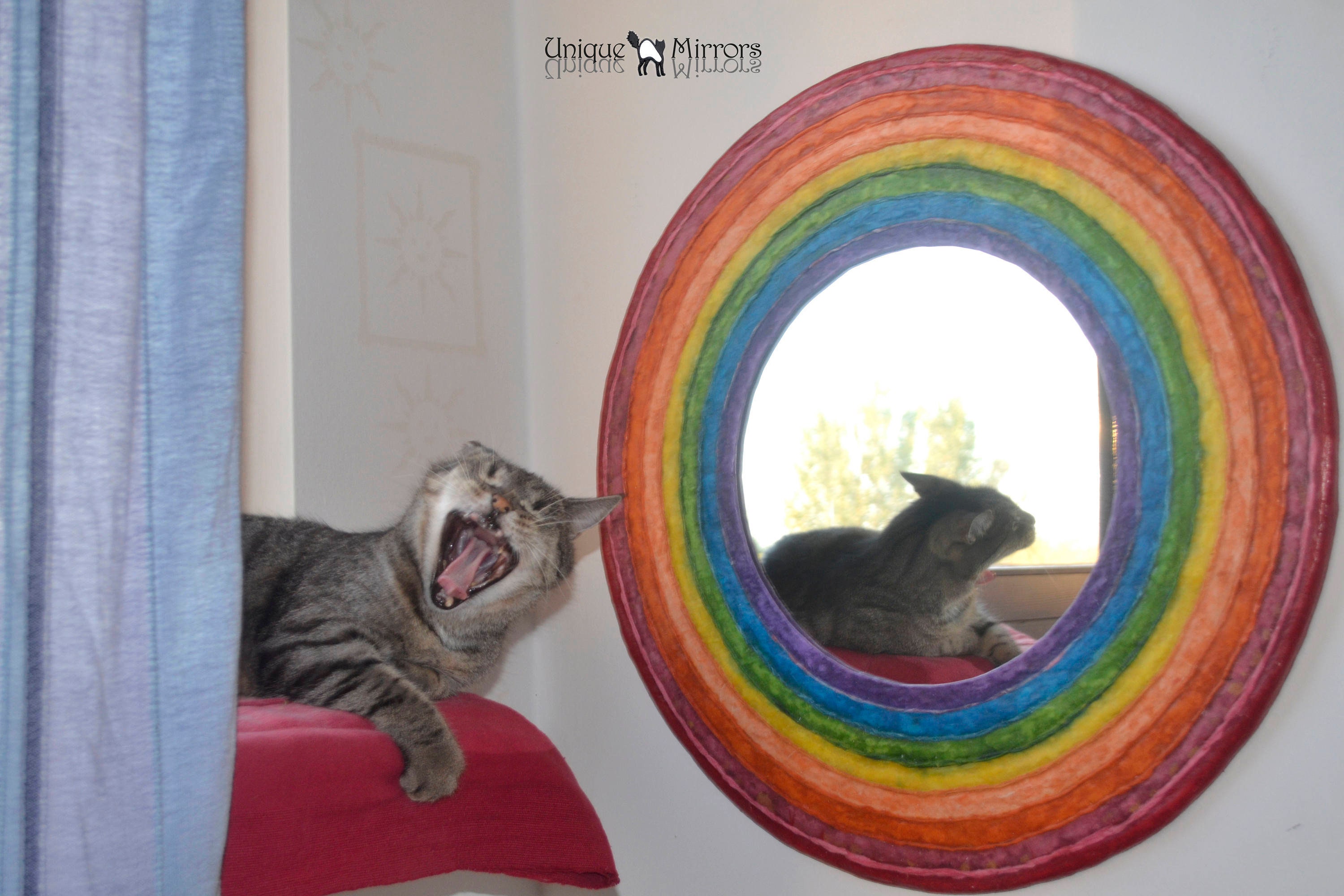 Cat LUCKY OVER the RAINBOW Small Wall Mirror Ready for - Etsy