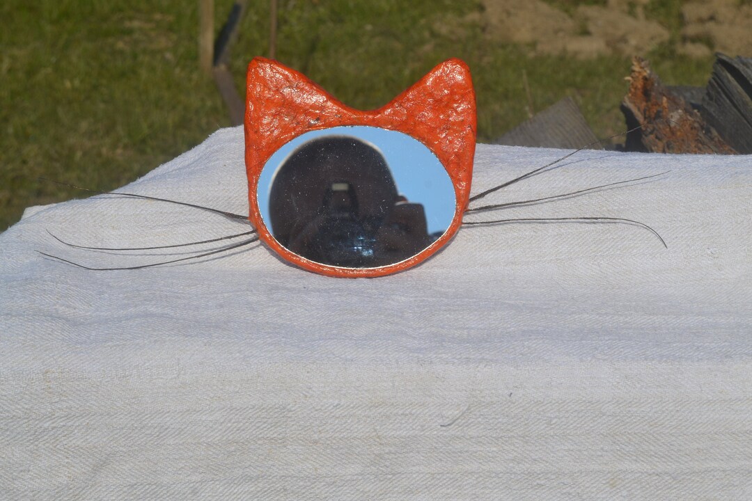ORANGE CAT HEAD Wall Mirror, Decorative Mirror, Small Wall Mirror, Cat ...