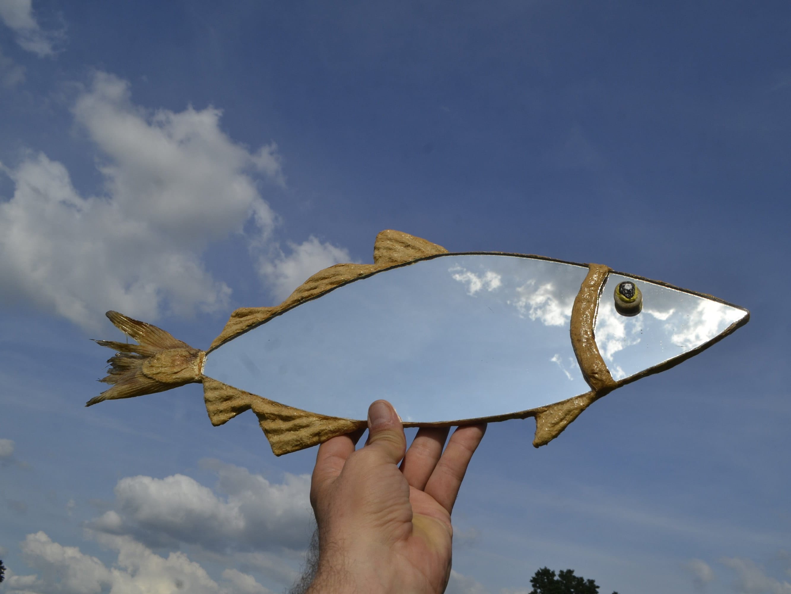 COD FISH MIRROR, Decorative Wall Mirror, Fish Lover Gift, Fish Shape ...