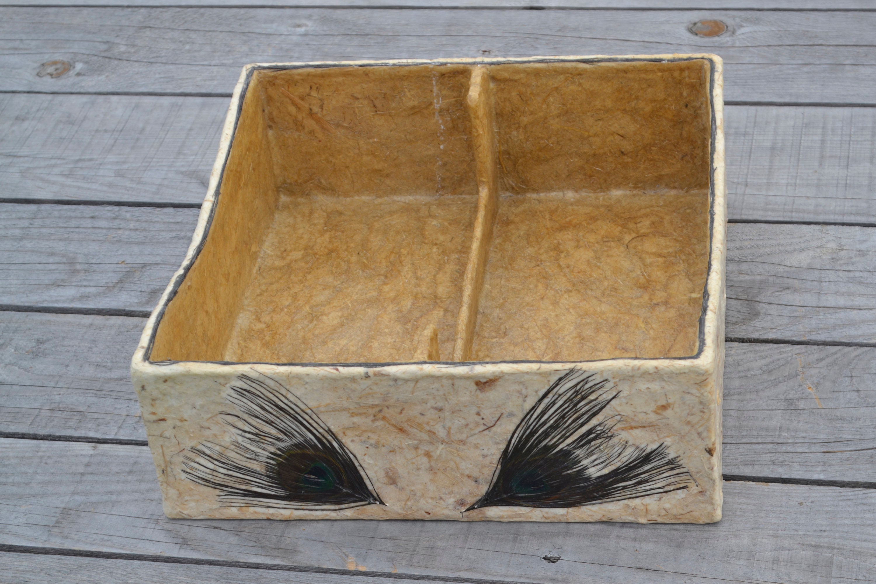 CD STORAGE BOX Large Decorative Box With Real Peacocks - Etsy