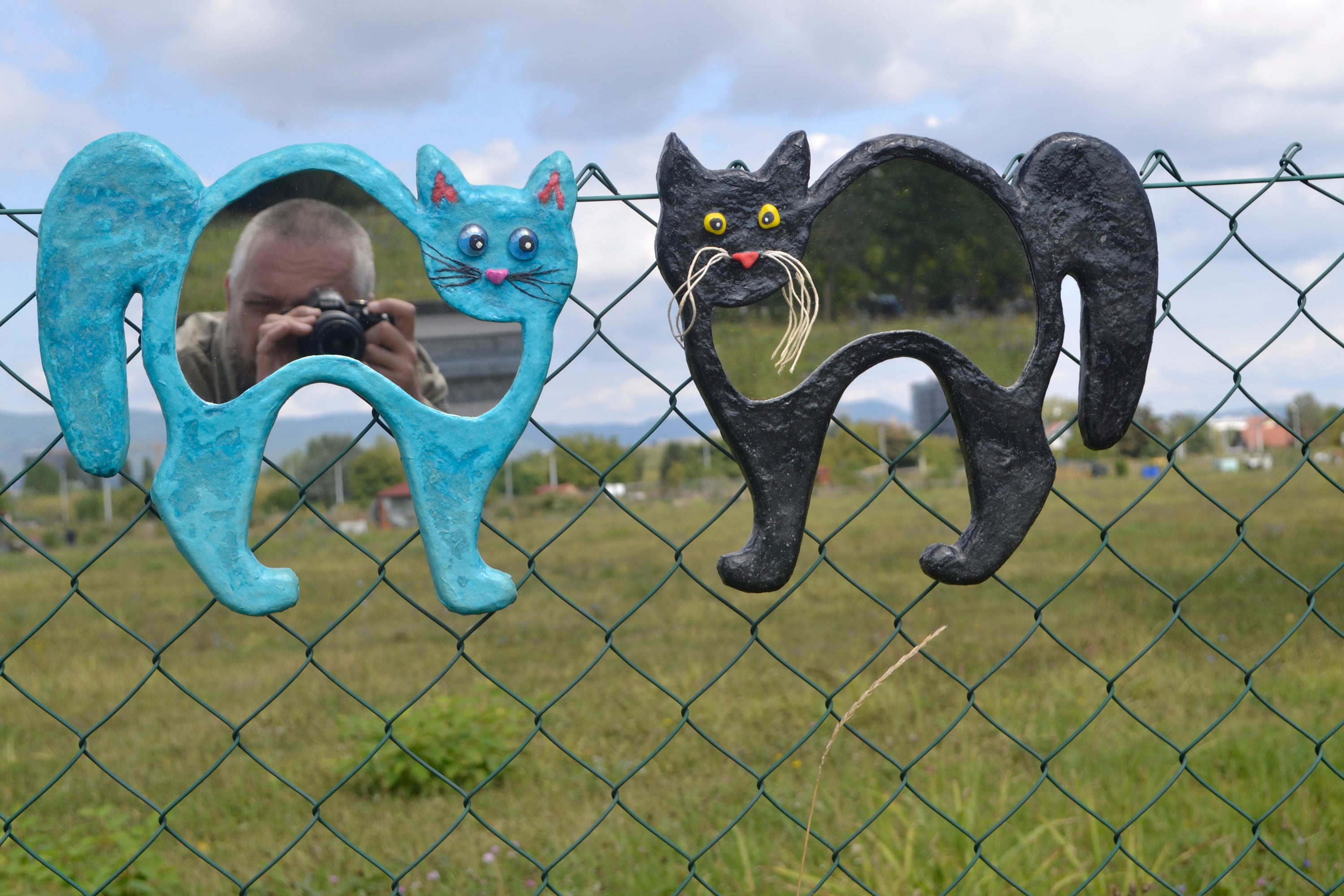 BLACK & BLUE CAT Mirrors, Decorative Wall Mirrors, Black Cat Mirror ...