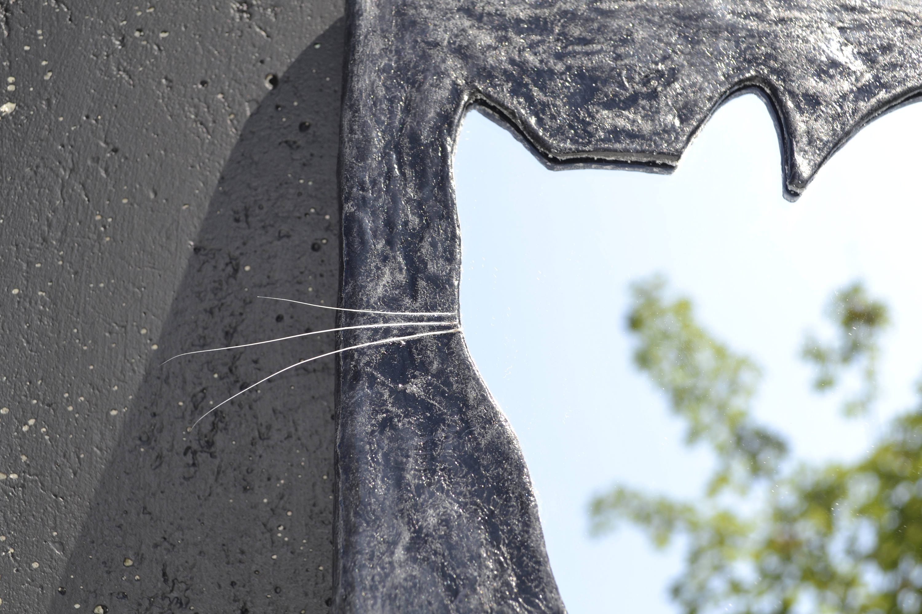 Curiosities and Oddities BLACK CAT MIRROR With 3 Real Cat Whiskers ...