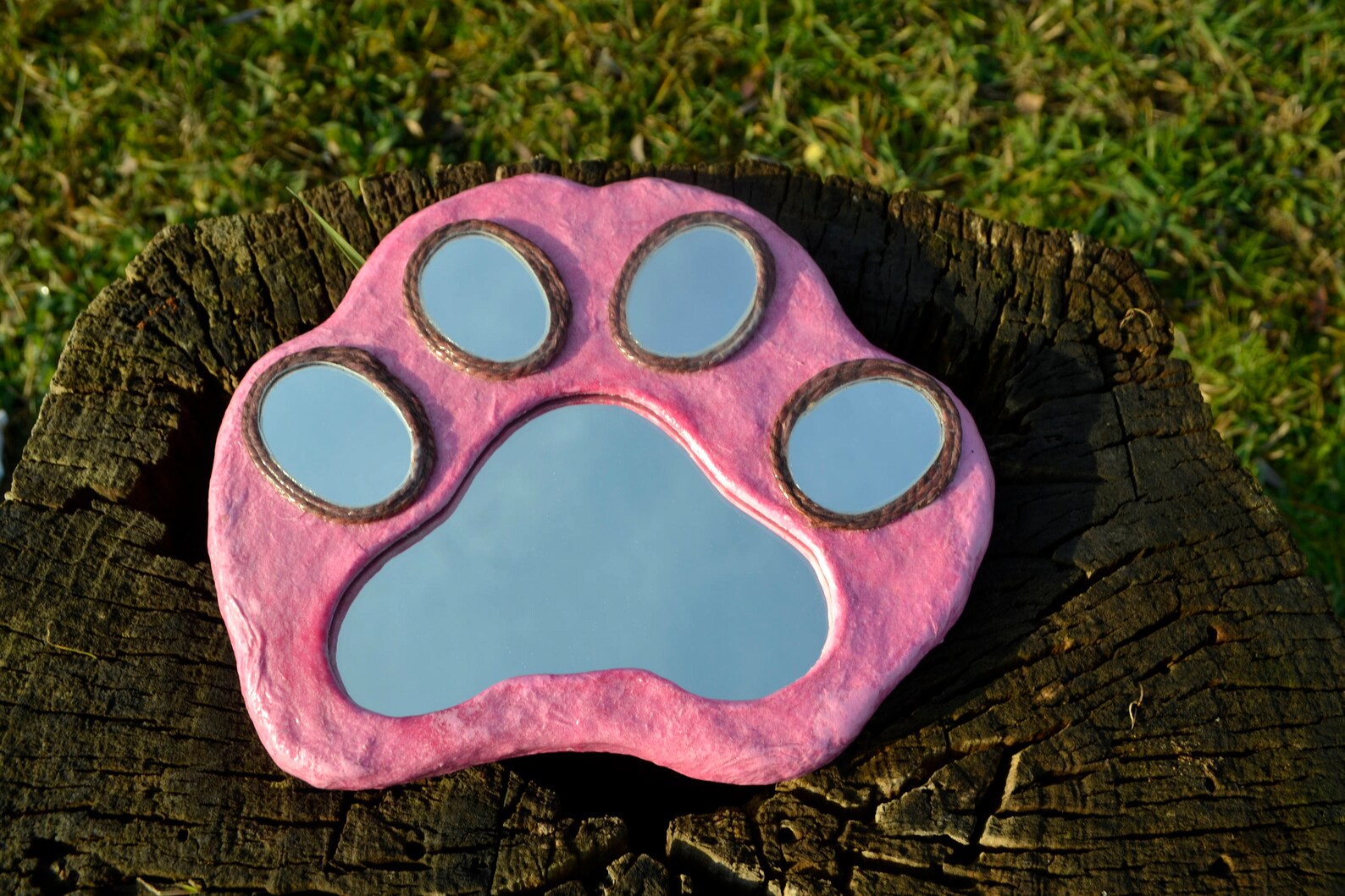 5 MIRRORS CAT PAW Decorative Wall Mirror Cat's Paw - Etsy