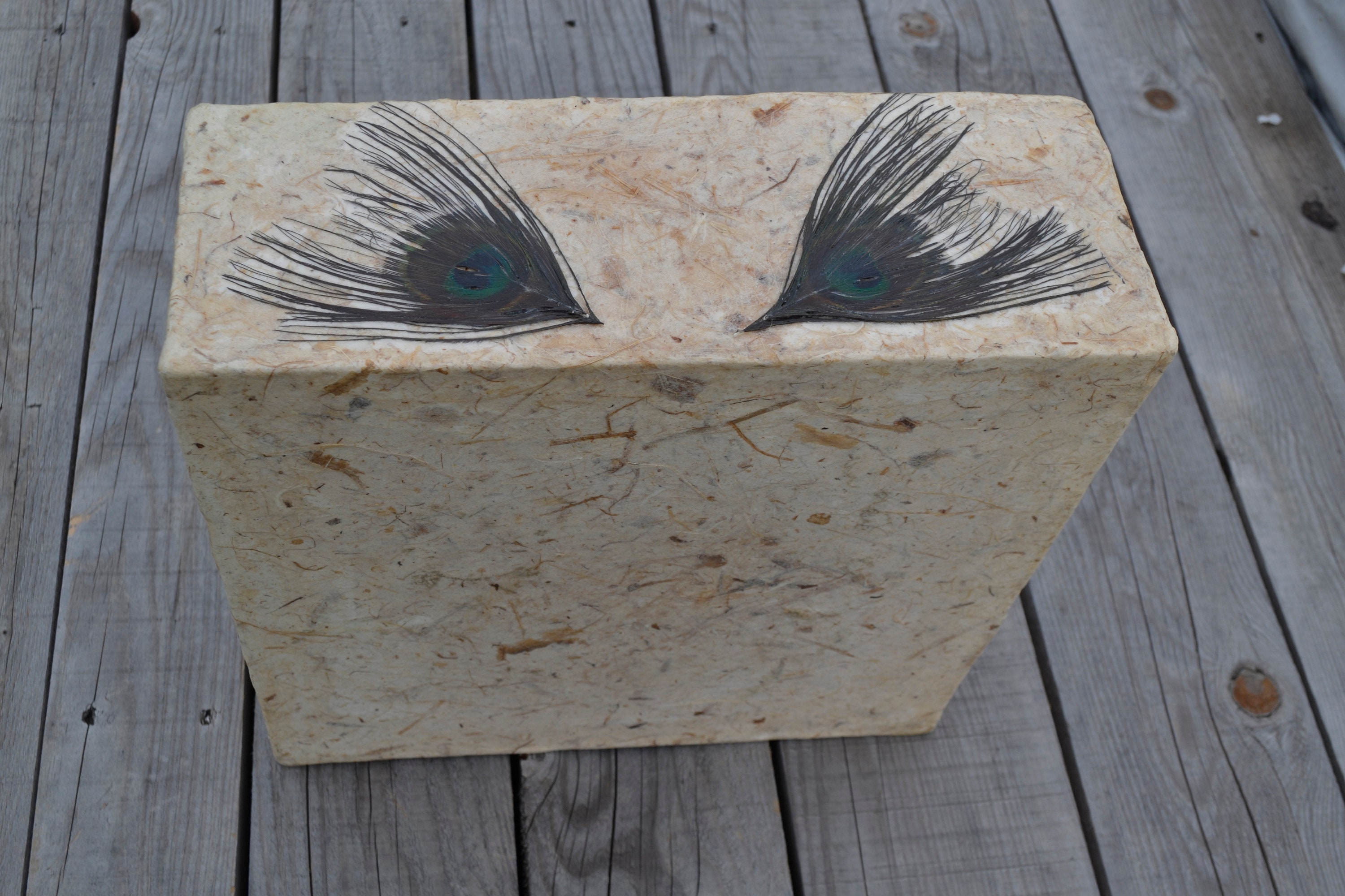 CD STORAGE BOX Large Decorative Box With Real Peacocks - Etsy