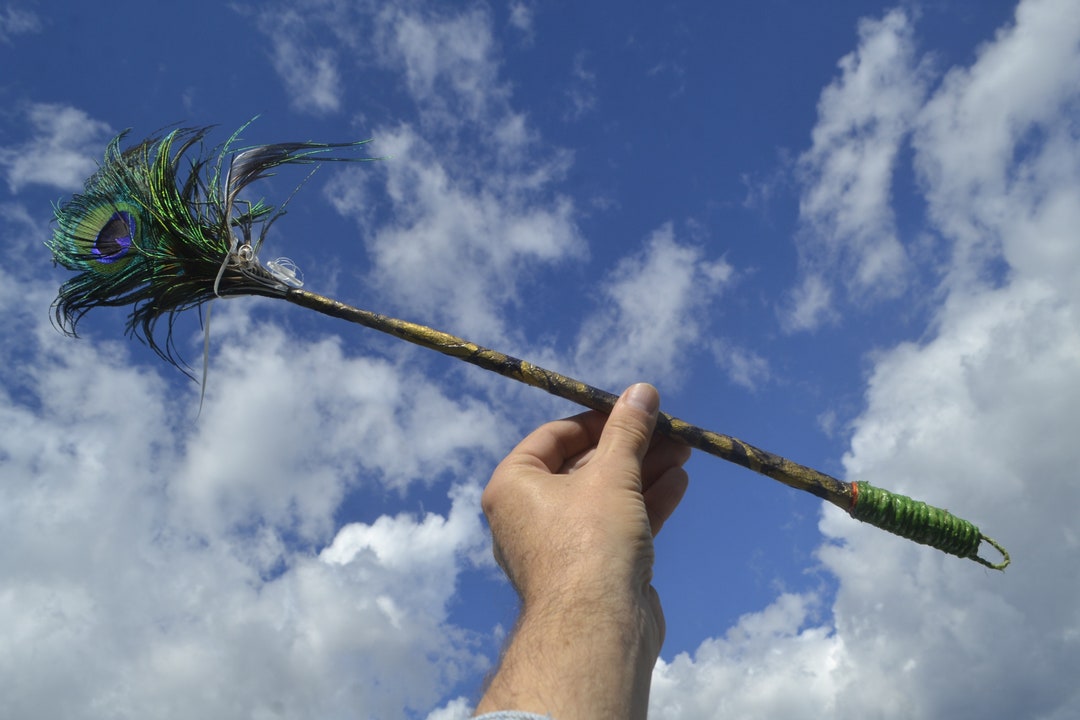 PEACOCK FEATHER TICKLER, Interactive Cat Toy, Long Cat Toy, Real ...