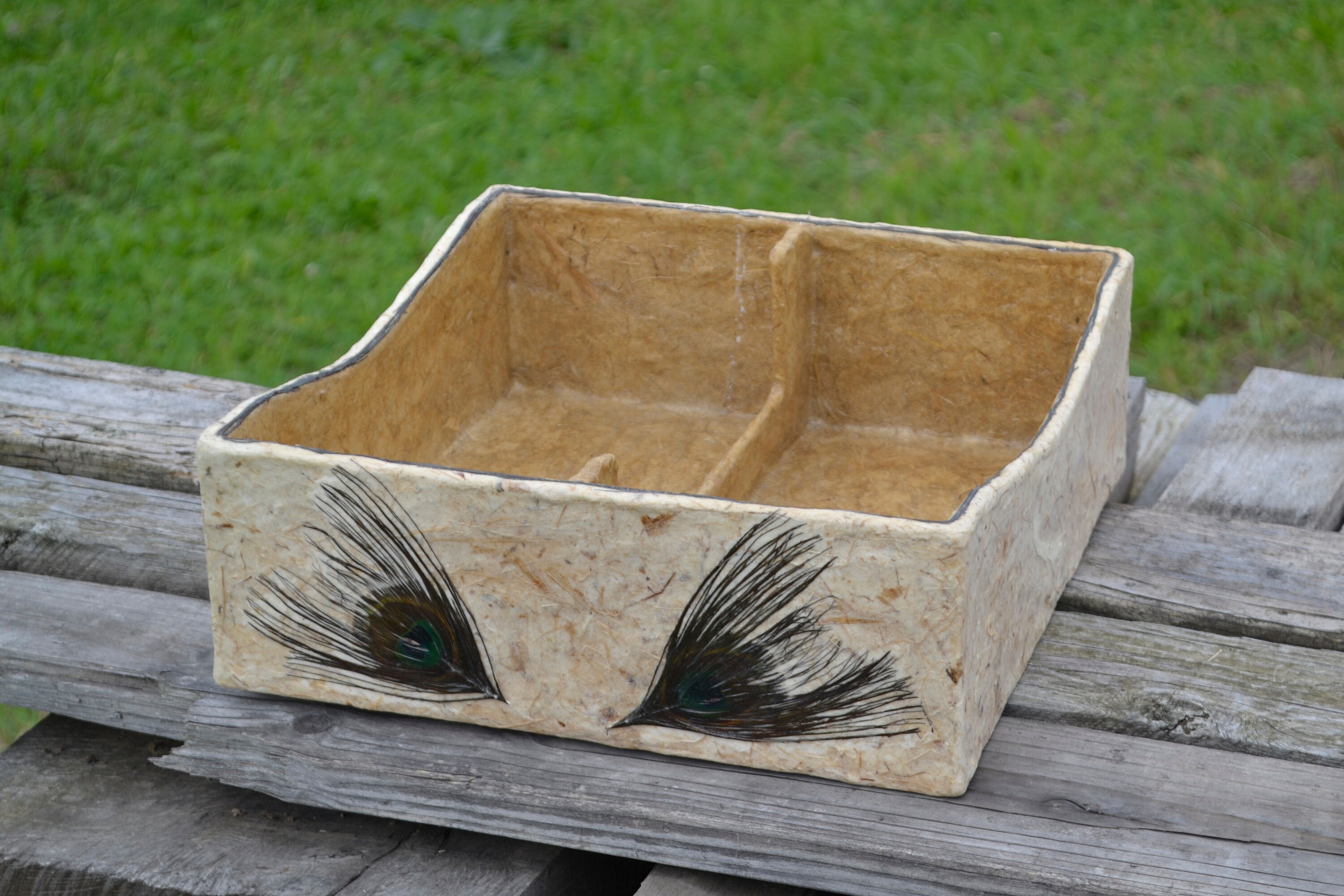 CD STORAGE BOX Large Decorative Box With Real Peacocks - Etsy