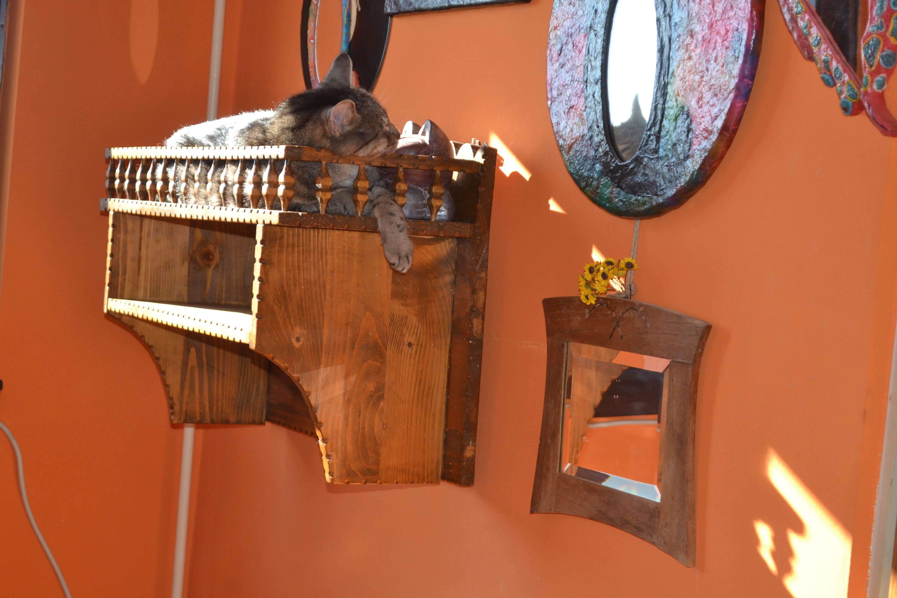 HANGING CAT BED, Wall Hanging Cabinet/ Shelf, Indoor Gardening, Large ...