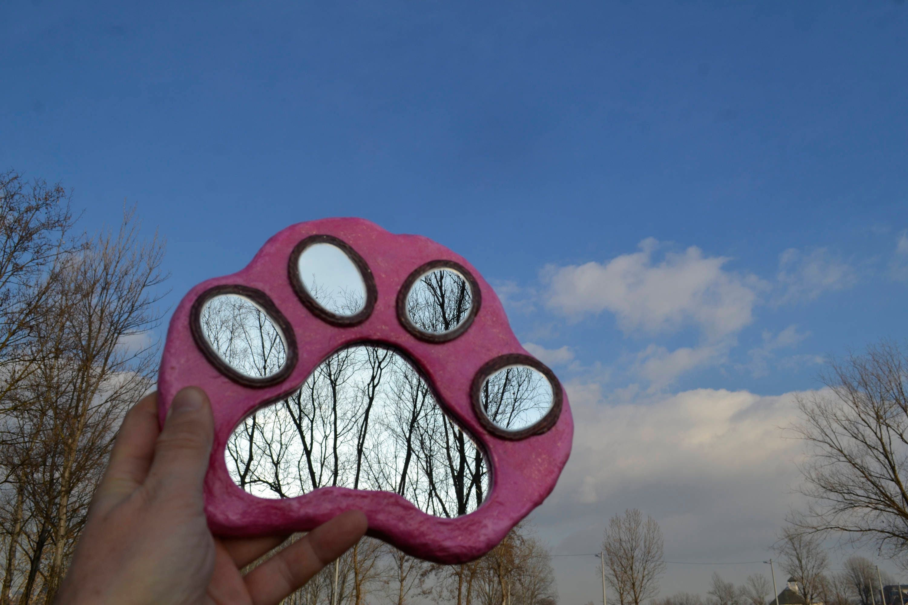 5 MIRRORS CAT PAW, Decorative Wall Mirror Cat's Paw Shaped, Mirror for ...