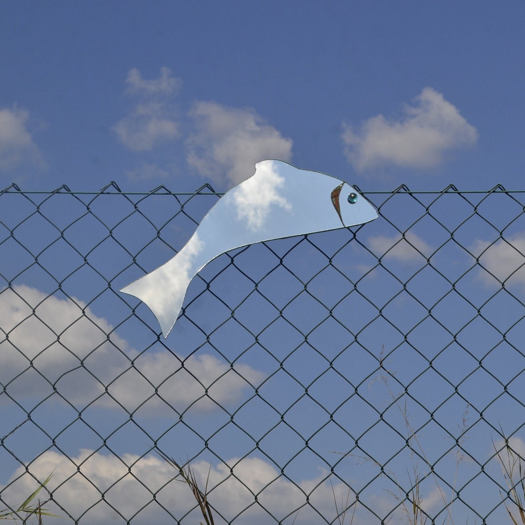 FRAMELESS DOLPHIN MIRROR, Paper Mache Dolphin Mirror, Coastal Wall ...