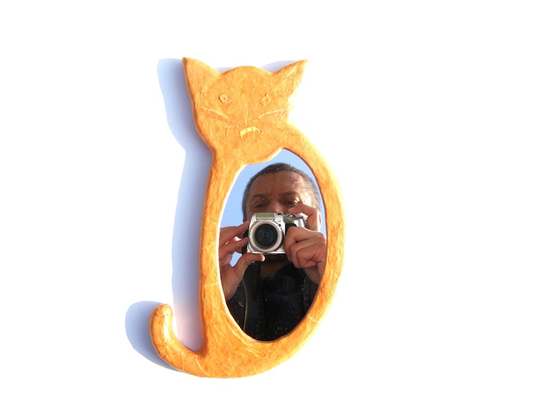 CAT LOVERS GIFT, Decorative Wall Mirror Cat Shaped, Orange Tabby Cat ...