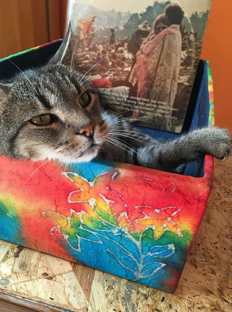 LARGE Upcycled BOX Colorful Cat Bed or Psychedelic LP Storage - Etsy