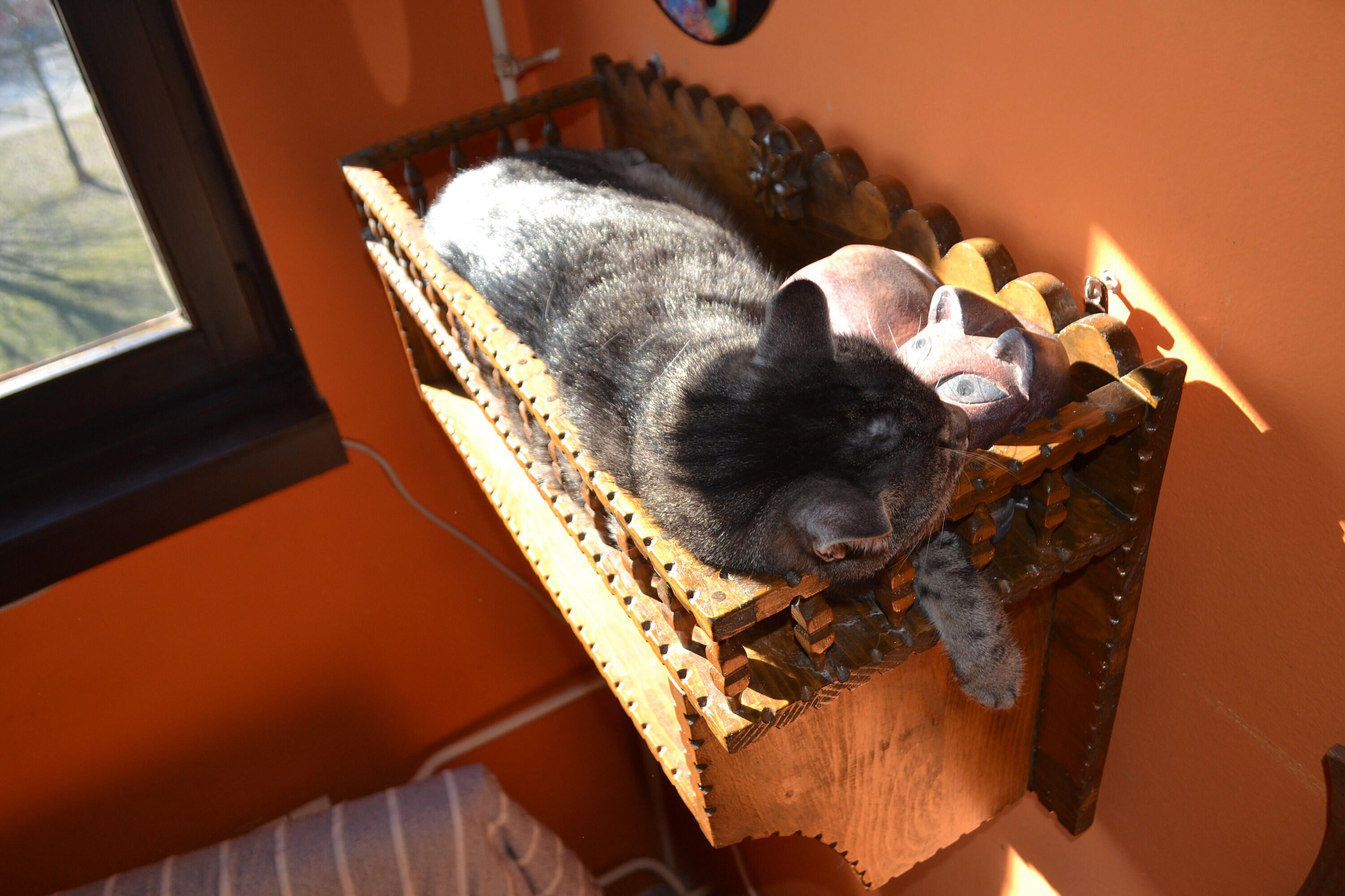 HANGING CAT BED, Wall Hanging Cabinet/ Shelf, Indoor Gardening, Large ...