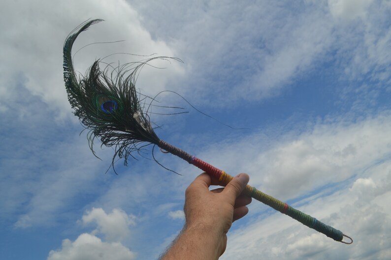 PEACOCK FEATHER TICKLER Interactive Cat Toy Long Cat Toy - Etsy
