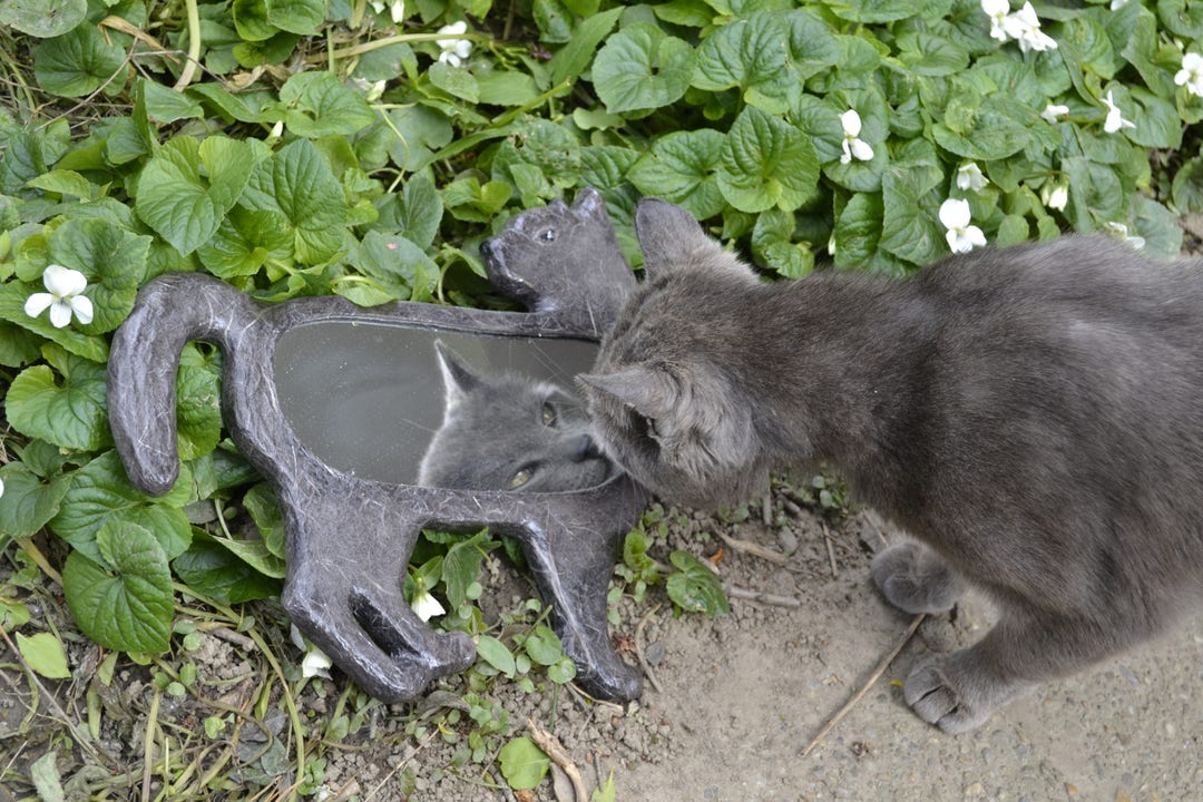 GREY CAT SILHOUETTE Mirror, Purfect Birthday Gift, Mirror for Hanging ...