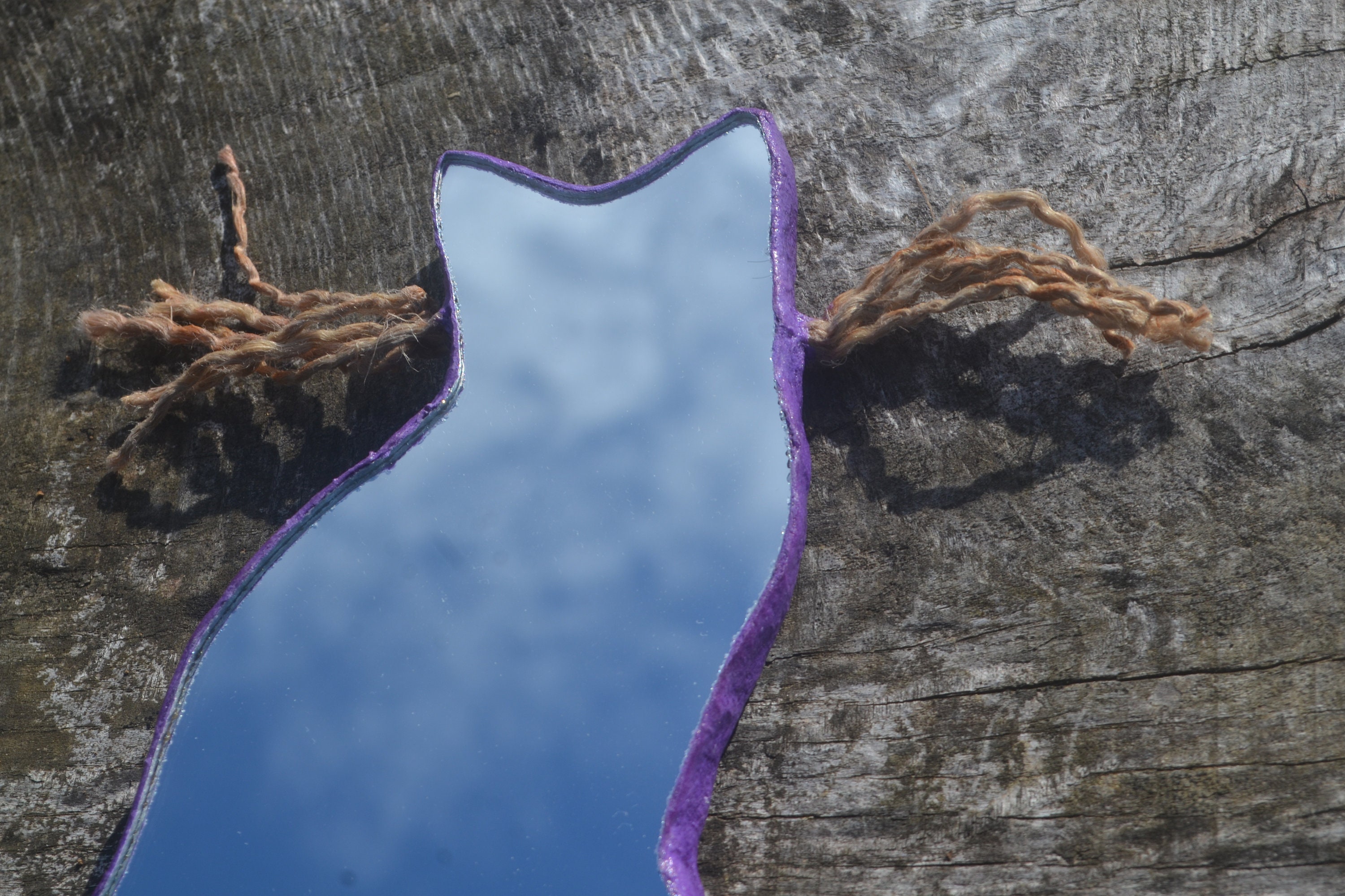 PURPLE CAT MIRROR Small Wall Mirror Frameless Mirror Paper - Etsy