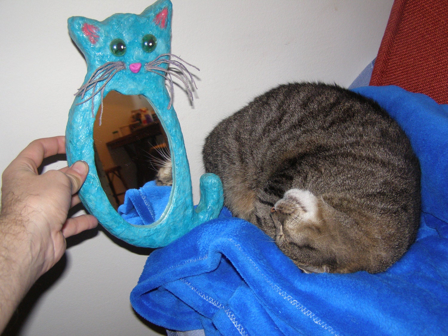 BLUE CAT MIRROR, Decorative Wall Mirror, Unique Cat Mirror, Ideal Gift ...