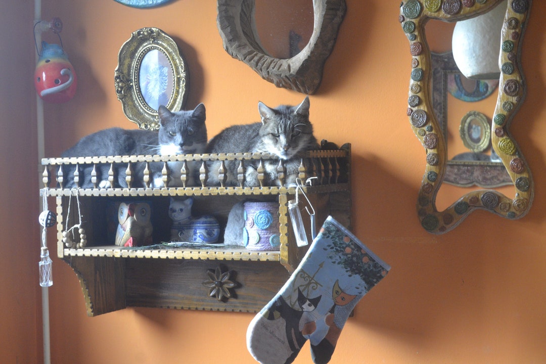HANGING CAT BED, Wall Hanging Cabinet/ Shelf, Indoor Gardening, Large ...