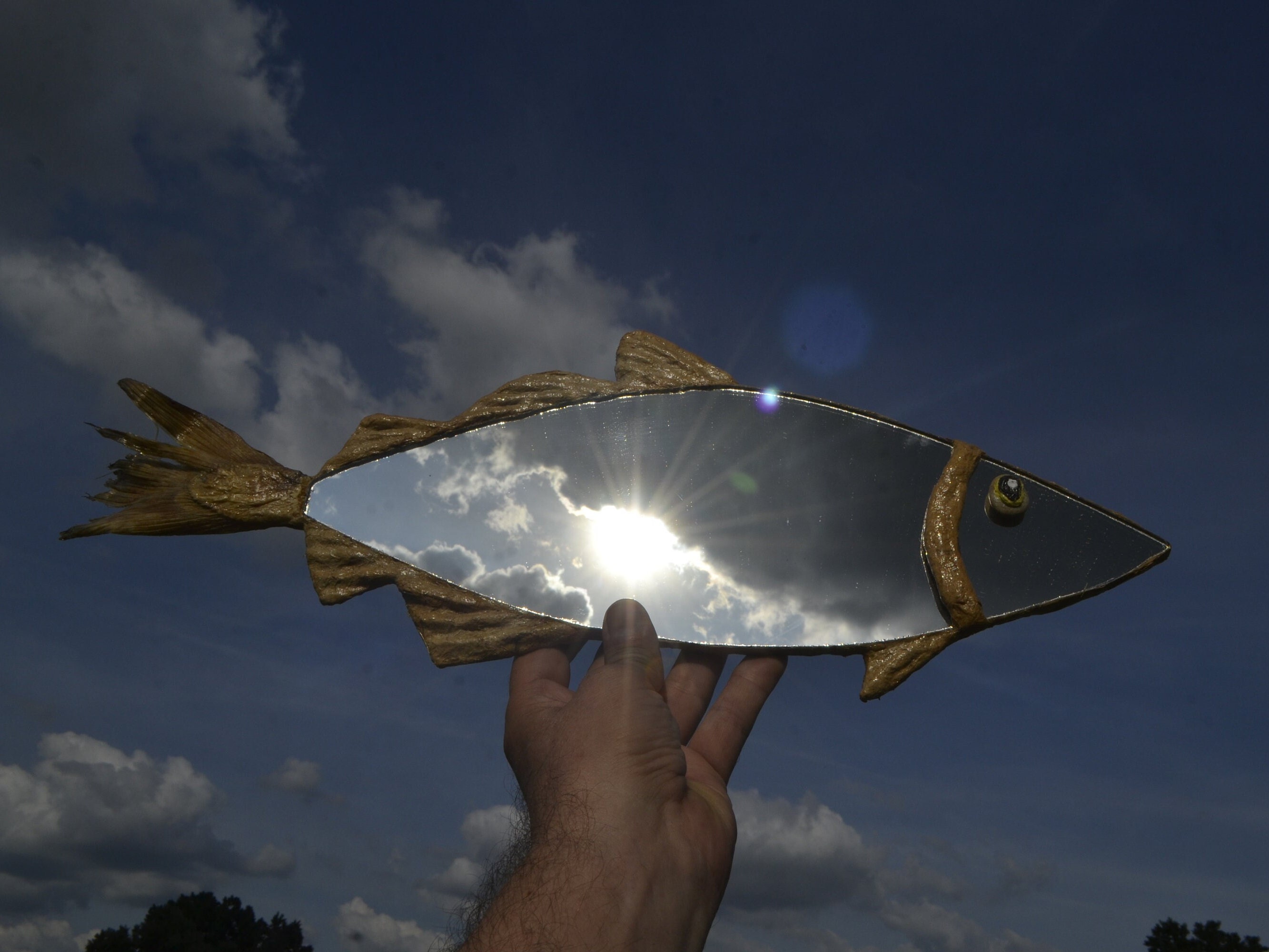 COD FISH MIRROR, Decorative Wall Mirror, Fish Lover Gift, Fish Shape ...