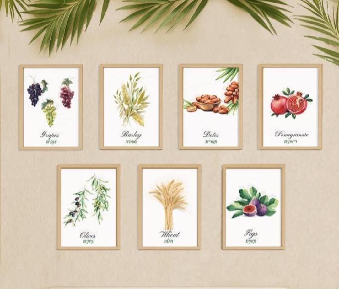 The Seven Species, Set 7 Prints,instant Print for Your Sukkah , Hebrew ...
