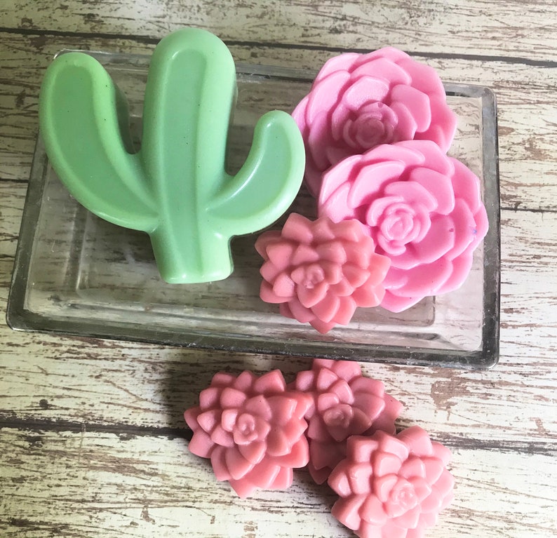 Cactus Soap Cactus Soap Gift Cactus Lover Gift Succulent - Etsy