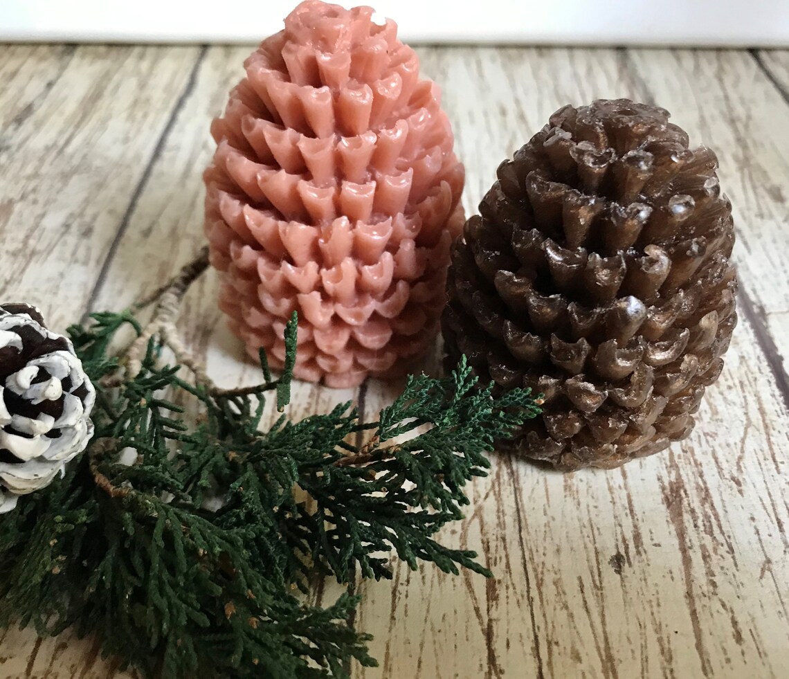 Pine Cone Soap, Fall Soap, Christmas Soap, Nature Theme Soap Gift ...