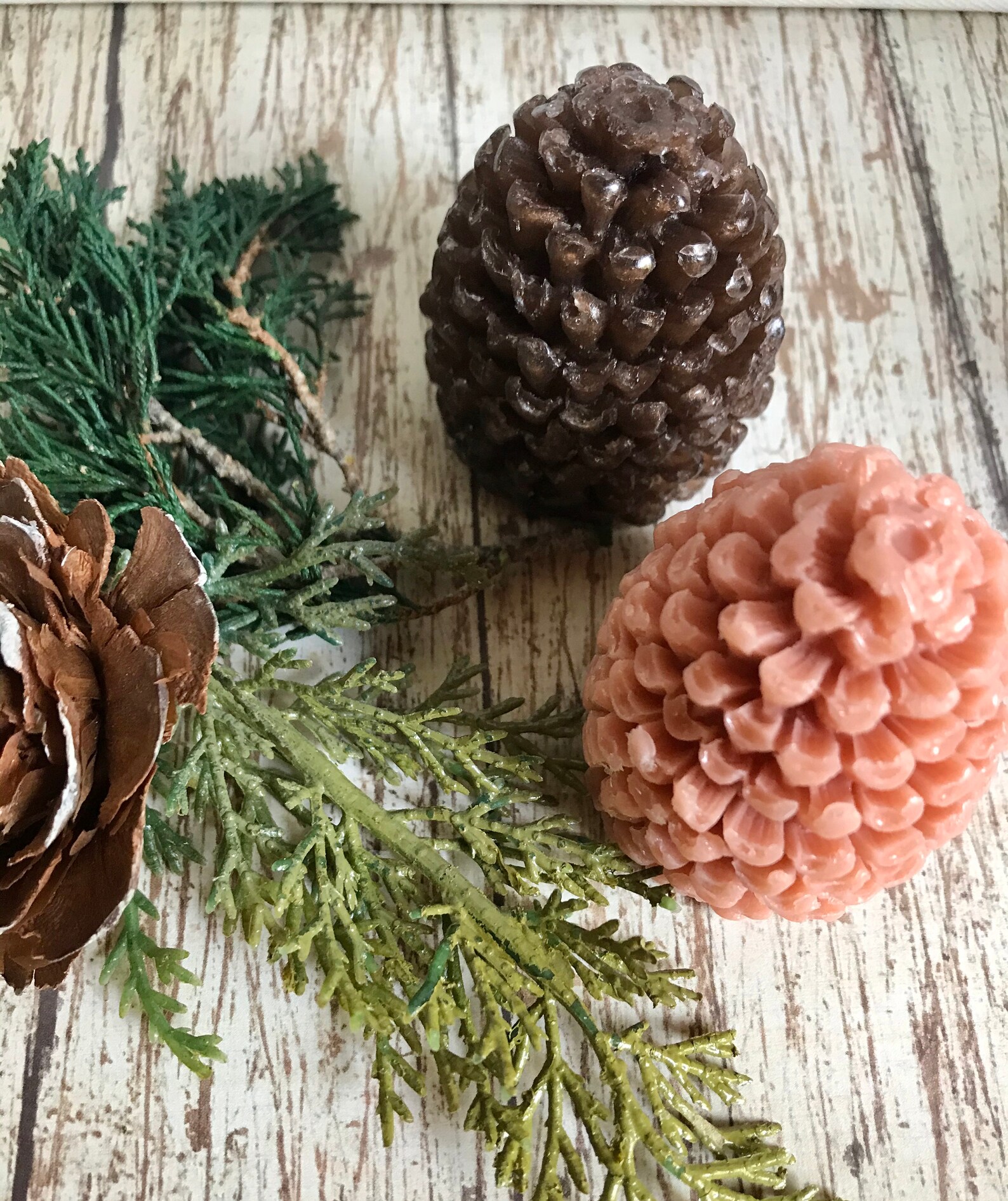 Pine Cone Soap, Fall Soap, Christmas Soap, Nature Theme Soap Gift ...