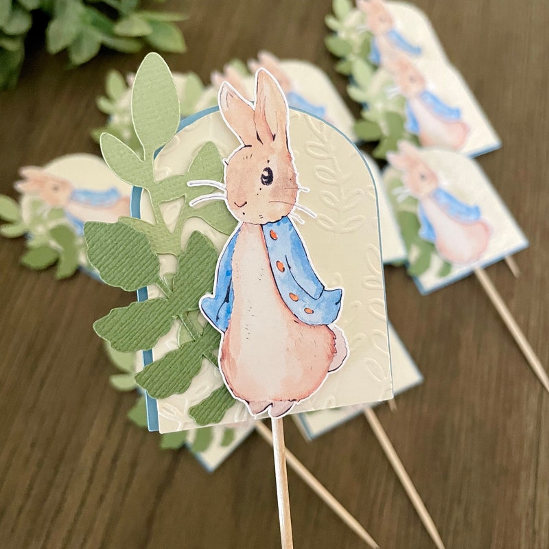Peter Rabbit Party - Etsy