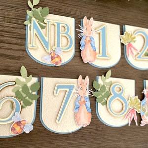 Peter Rabbit Photo Banner, Peter Rabbit Banner, Peter Rabbit Decor - Etsy
