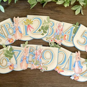 Peter Rabbit Photo Banner, Peter Rabbit Banner, Peter Rabbit Decor - Etsy