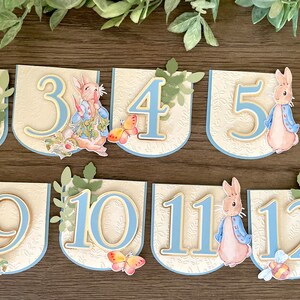 Peter Rabbit Photo Banner, Peter Rabbit Banner, Peter Rabbit Decor - Etsy